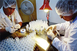 Costa Rica company BioTD helps to fight cervical cancer. Breaking new ...