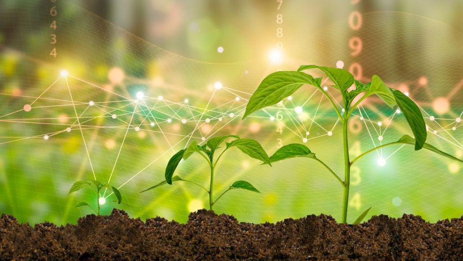 Ministry of Economic Development Promotes Sustainable Growth and ...